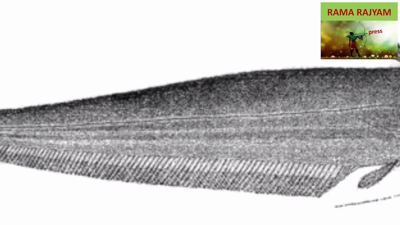 వామ్మో వాలుగ చేపలా-వాలుగ చేపల పై పరిశోధనలు|vaaluga fishes research at ...