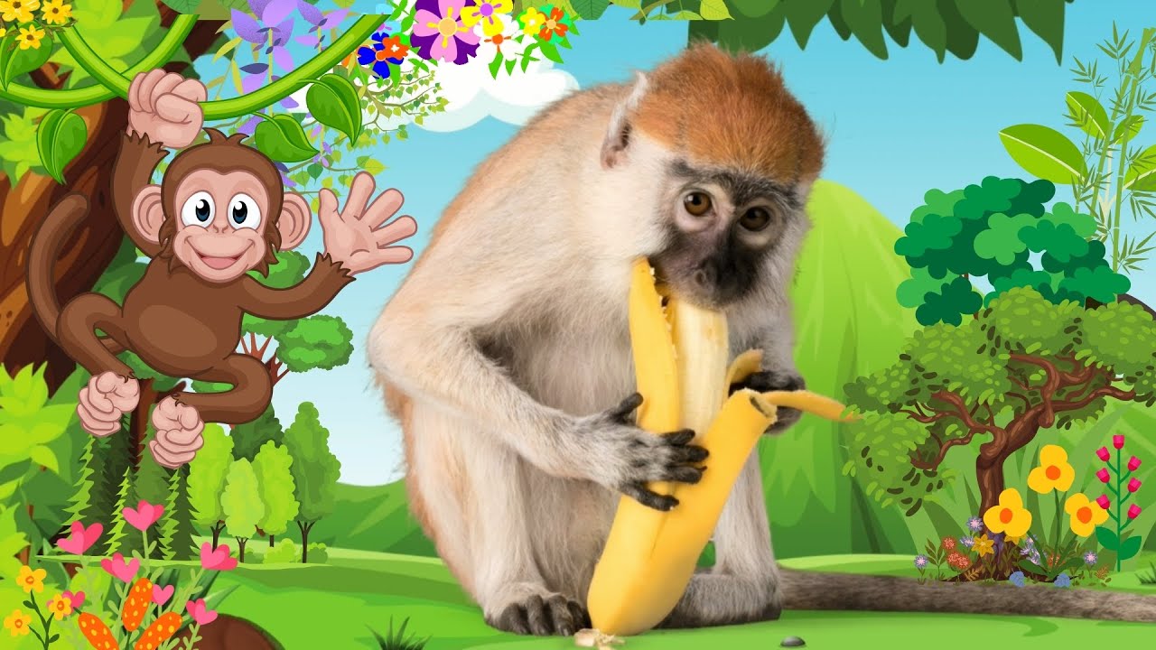 Con vật và tiếng kêu | Dạy trẻ học nói con vật | Con Vật Cute - YouTube