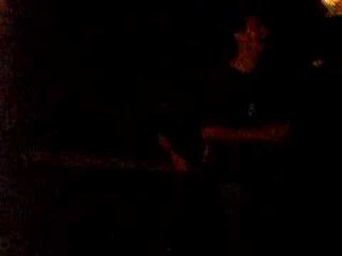 Inseminator game - YouTube