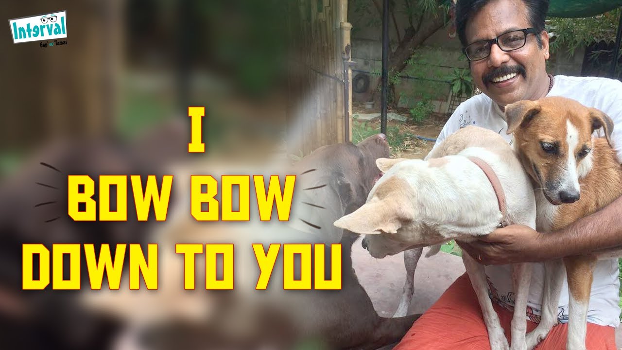 Badava Gopi treats his dogs as students !!!! - I Bow Bow Down to You ...