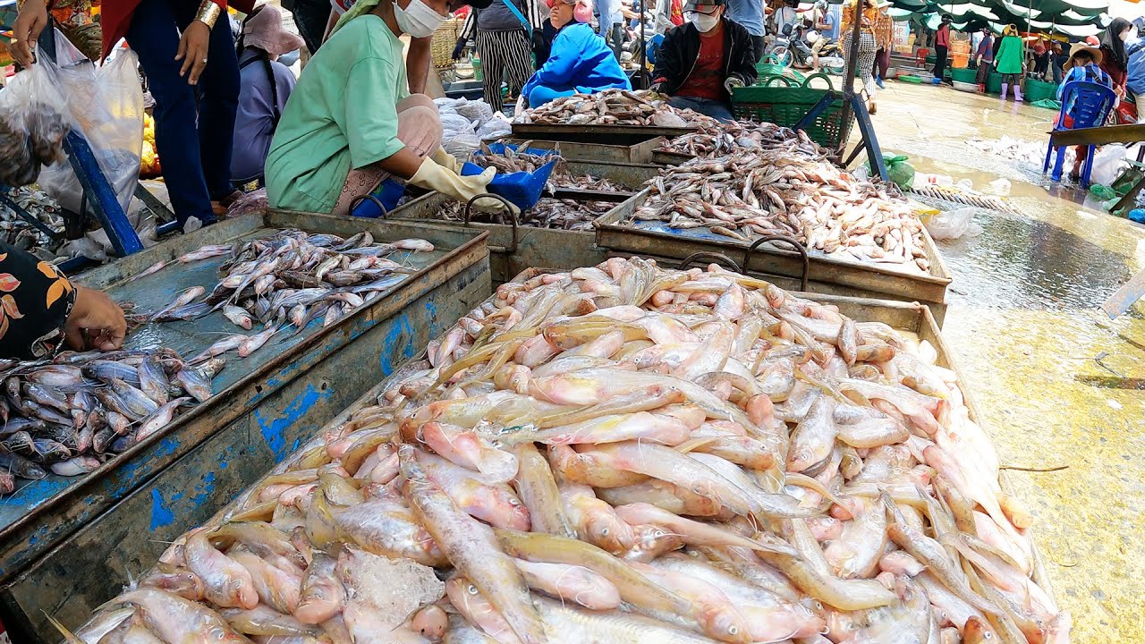 The Largest Wholesale Fish & Snail Market Is Located in Phnom Penh, the ...
