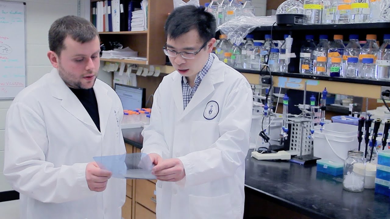 How to Find an Undergrad Research Opportunity in Life Sciences - YouTube