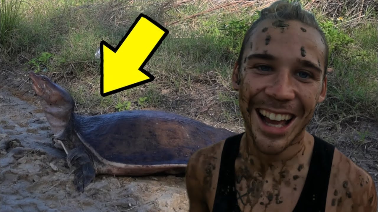 MUDDING + TURTLES! - YouTube