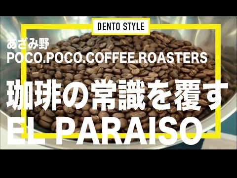 9.POCO.POCO.COFFEE.ROASTERS - YouTube