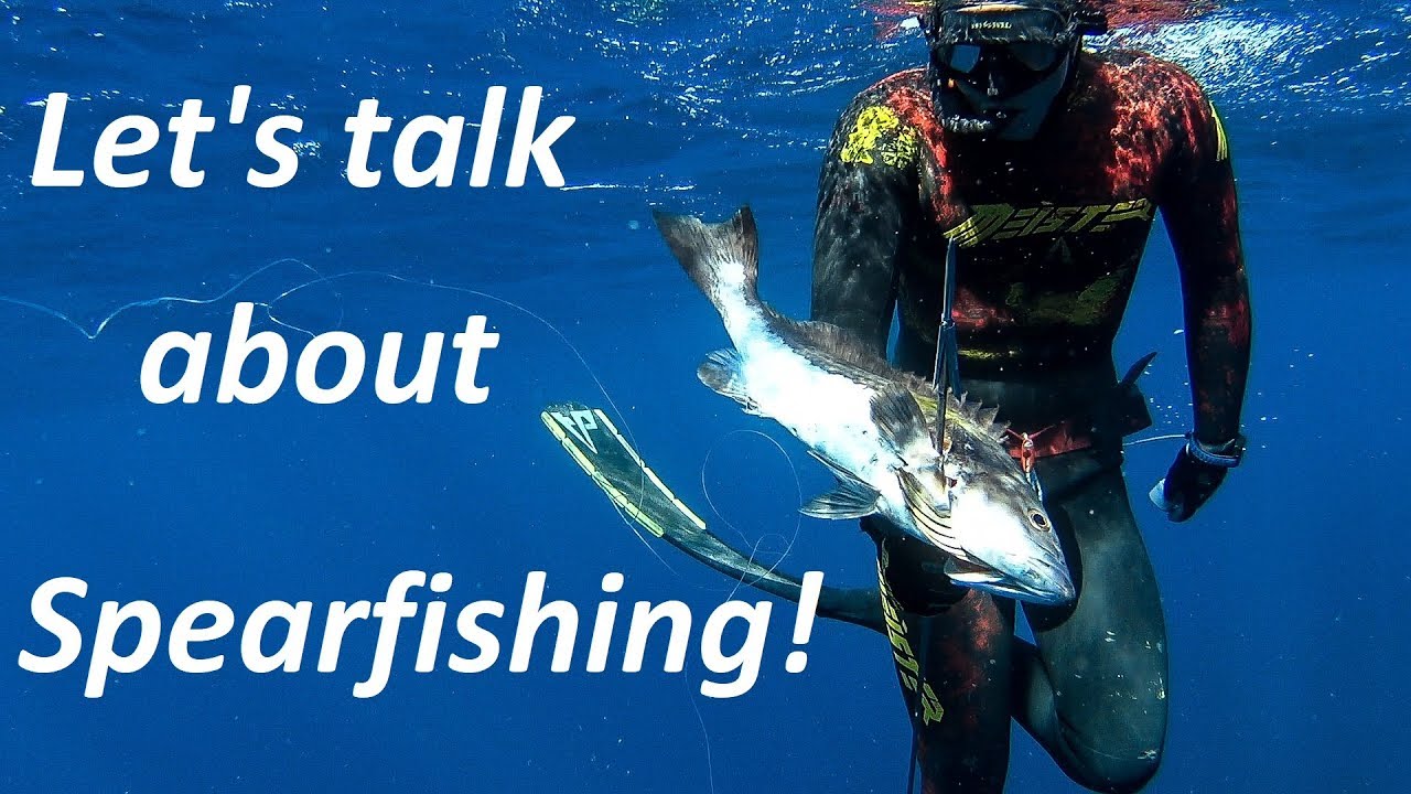 Spearfishing Techniques - Ψαροντούφεκο Oι τεχνικές στο υποβρύχιο ψάρεμα ...