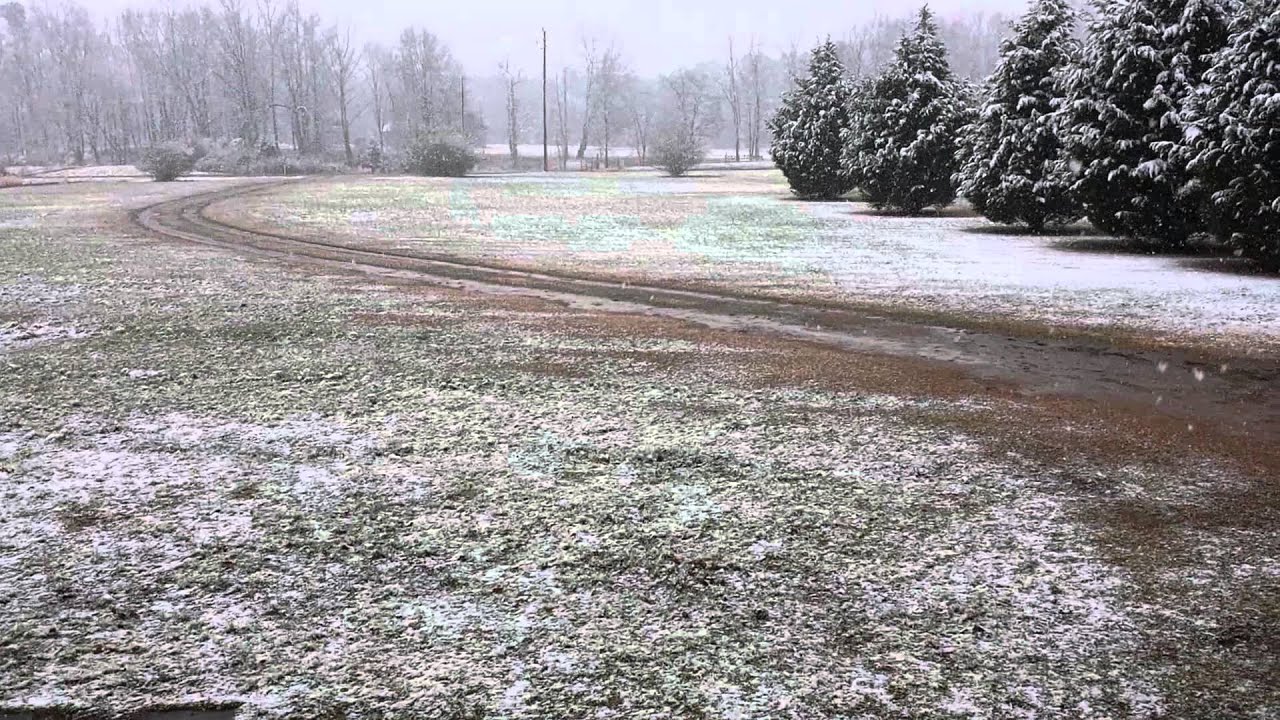 Snow + Cat attack! - YouTube