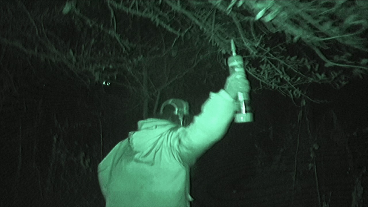 ChefBambi, Yung Bambi, Chef Courage - Whippetiers - YouTube