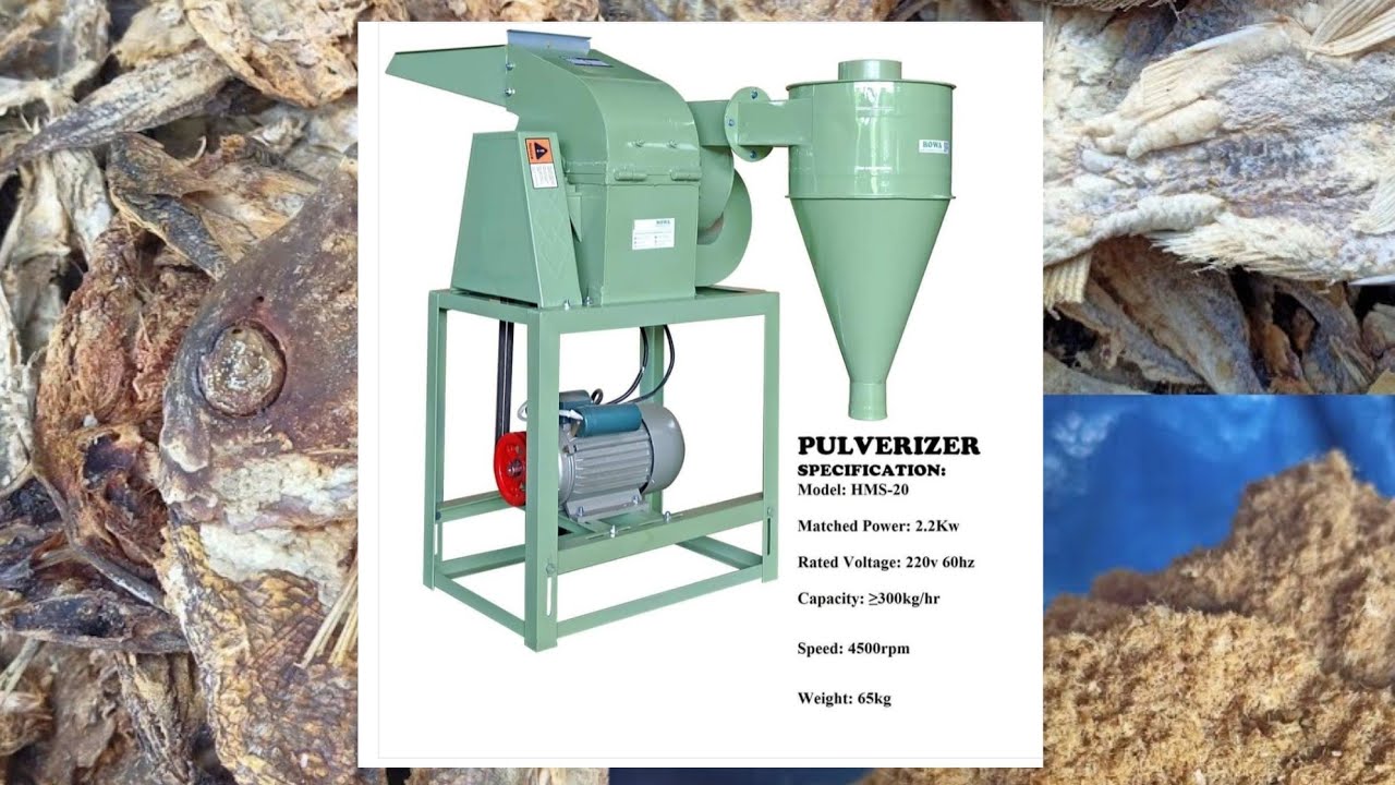 Fish meal making gamit ang BOWA pulverizer machine - YouTube
