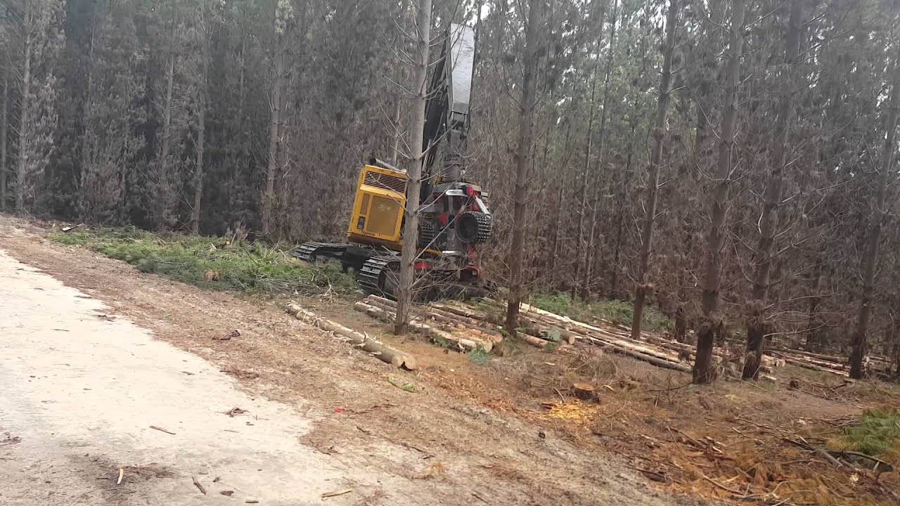 Tigercat 822C Logmax 6000B - YouTube