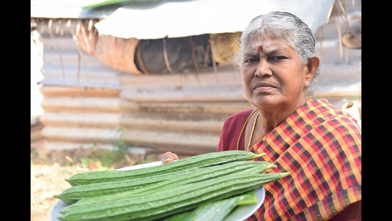 Simple Ridge Gourd Recipe | Quick Recipe for Rice - YouTube