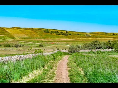 Gullane Lockdown Nature Walks - 3. Saltcoats and Luffness - YouTube