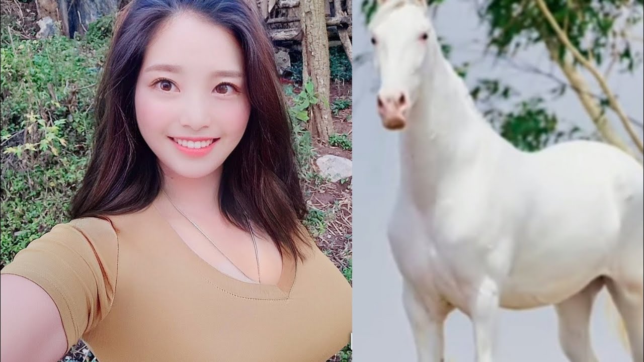 kov kov paum kom lo lo kau mam ua thiaj zoo nyob - YouTube