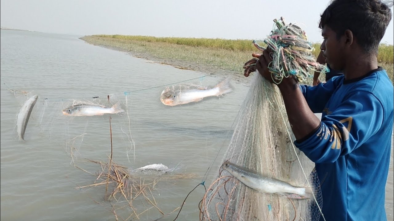 fishing Skills, Amazing Village Boy Catching Big Bata Fish। জাল দিয়ে ...
