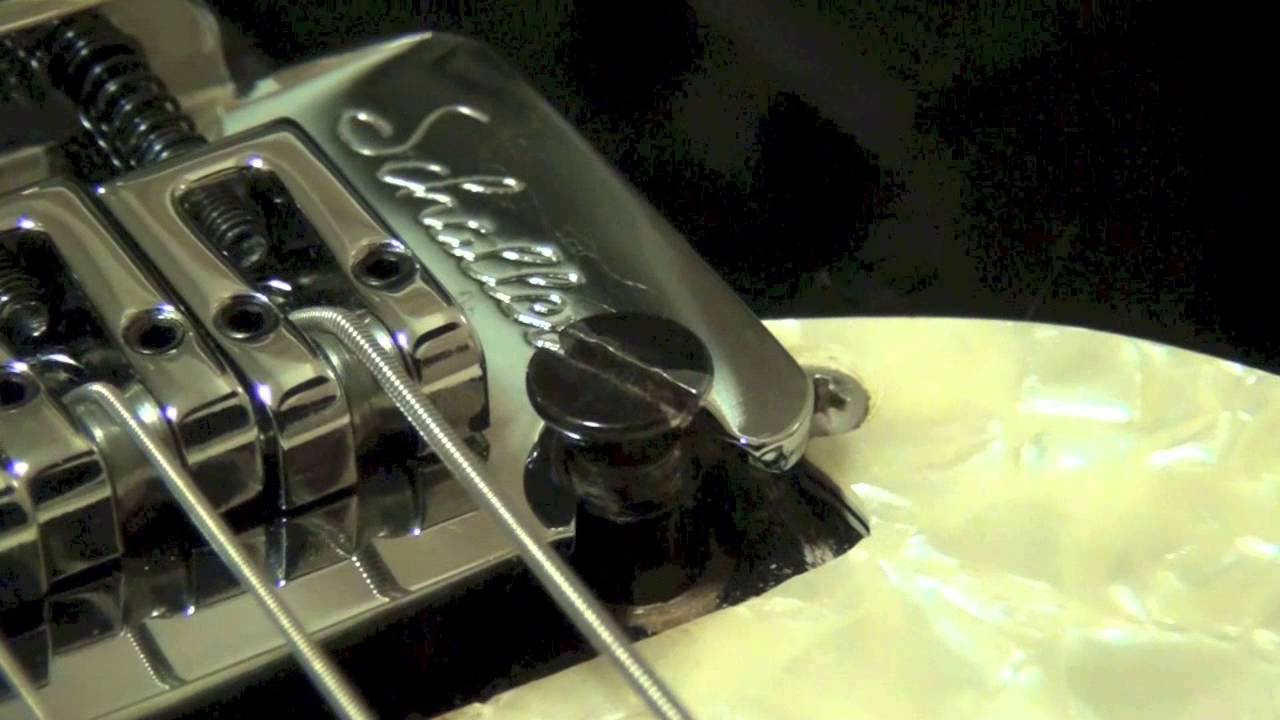 Schaller Tremolo Bridge