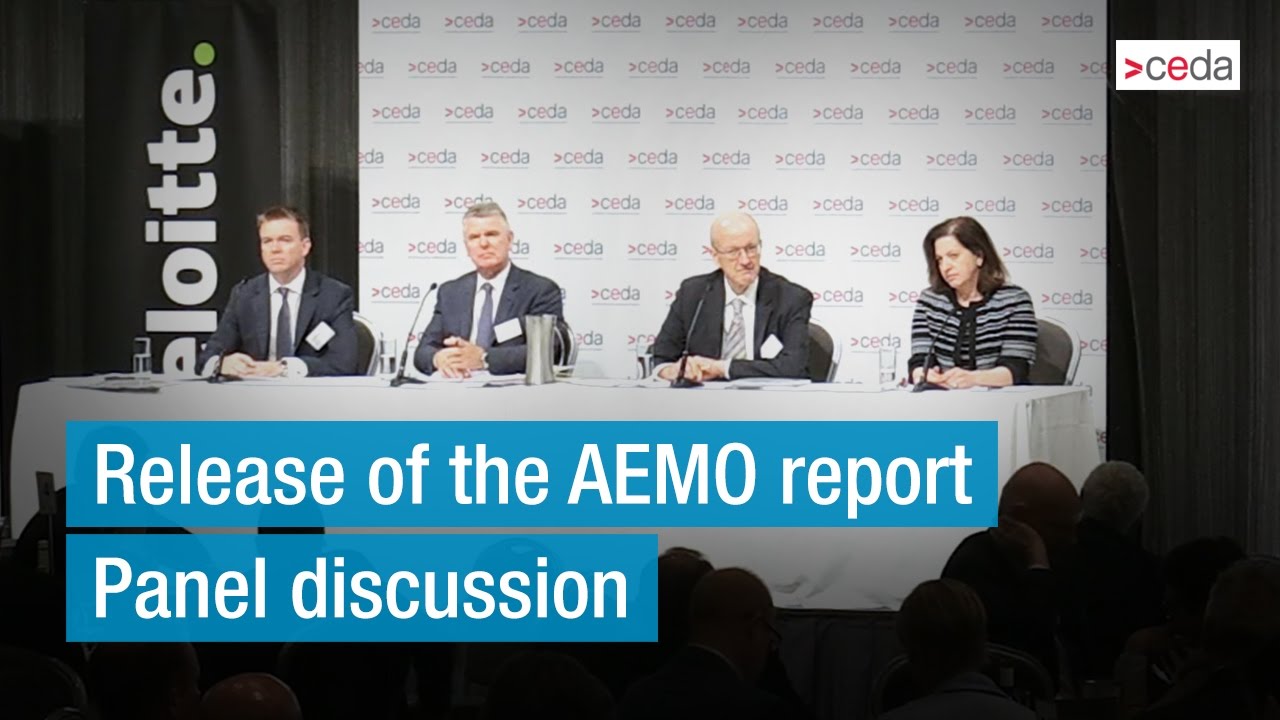 Energy security and reliability: release of the AEMO report - Panel ...