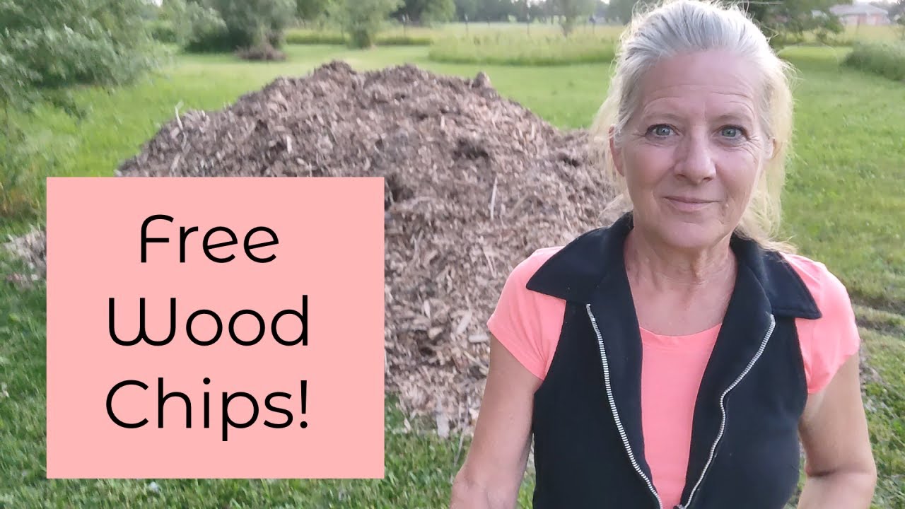 Free Wood Chips Via ChipDrop. What You Can Expect. - YouTube