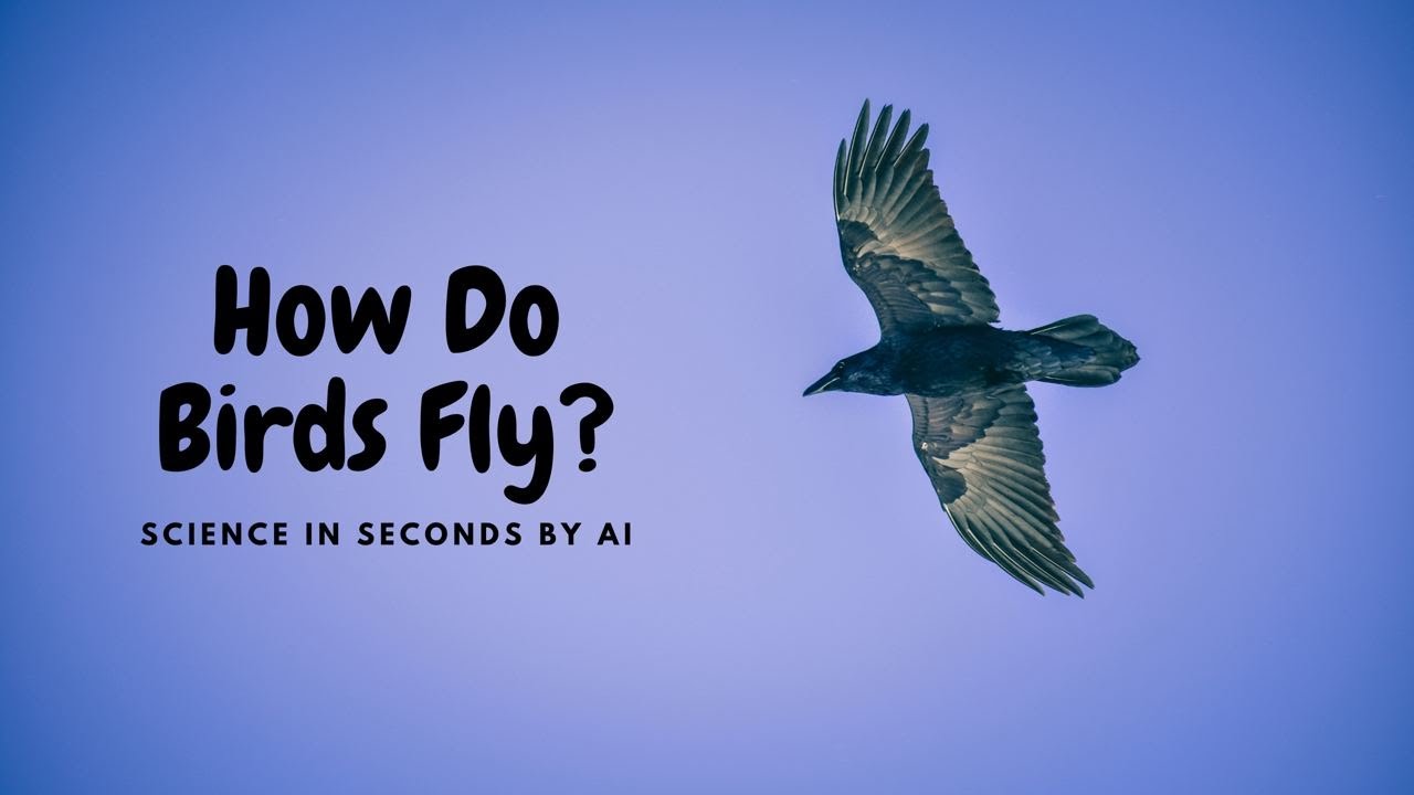 How do birds fly? The story by AI - YouTube