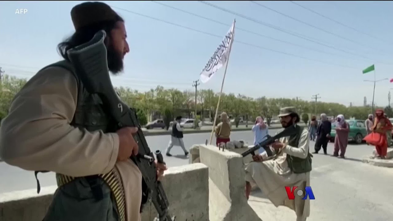 al-Qaida ခေါင်းဆောင်ကို အဝေးထိန်း မစ်ဇိုင်းဒုံးနဲ့ အမေရိကန် သုတ်သင ...