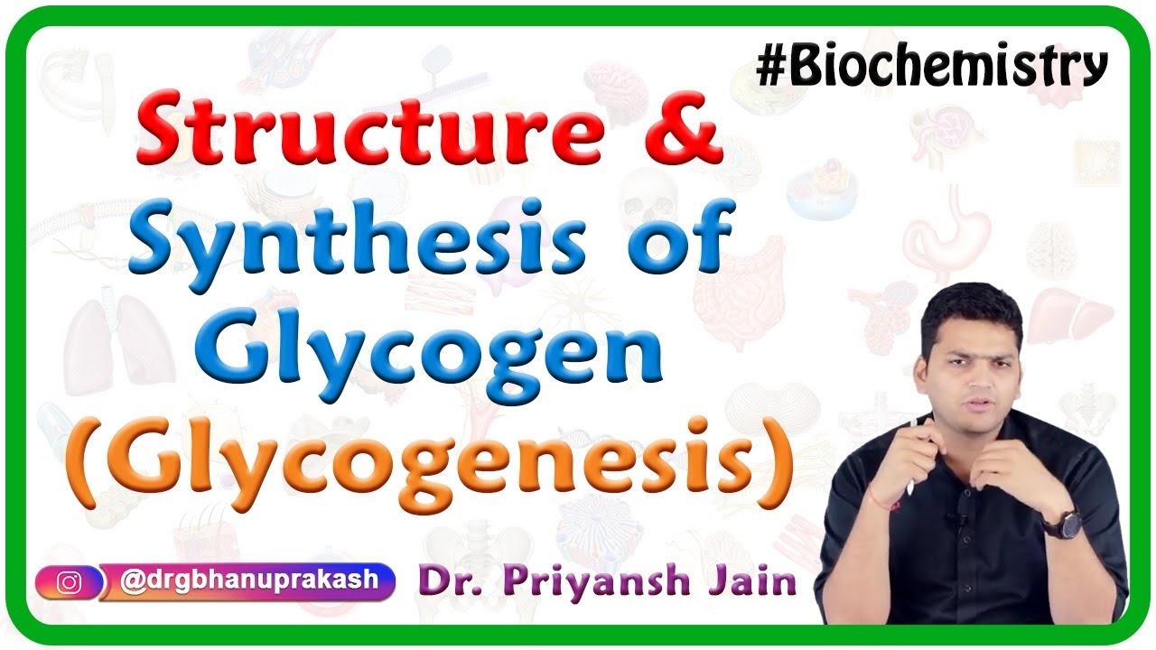Structure of Glycogen and Glycogen synthesis (Glycogenesis) : Medical ...
