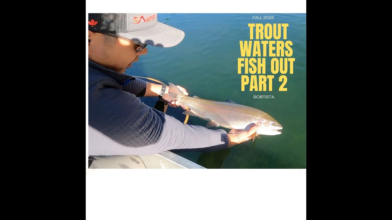 Trout Waters Staff Fish Out Part: 2 - YouTube
