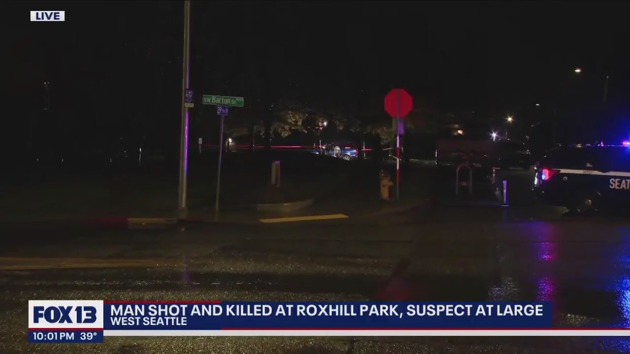 Man shot and killed in West Seattle | FOX 13 Seattle - YouTube