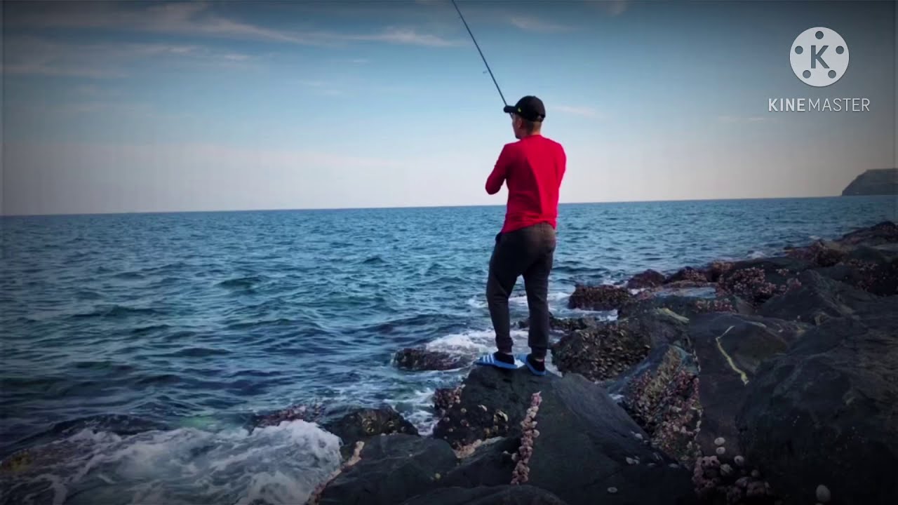 Matangbaka Attack (Akule Bigeye Scad) | Fujairah Shore Fishing ...