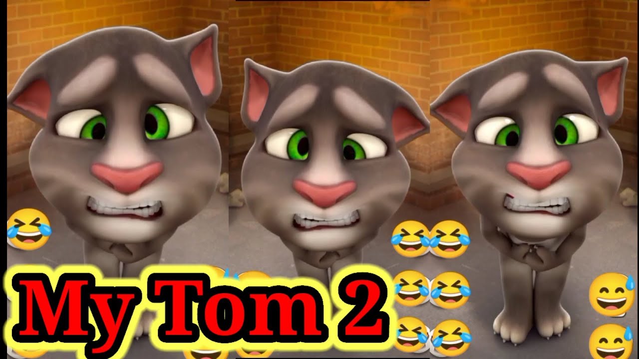 My Tom 2 - YouTube