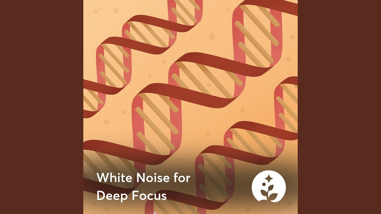 White Noise - YouTube Music
