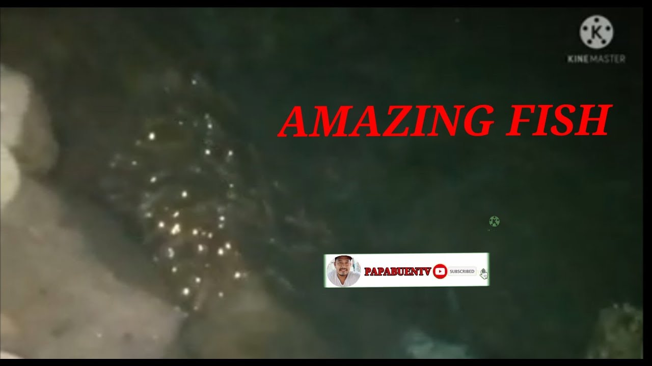 Isda ba ito amazing eyes - YouTube