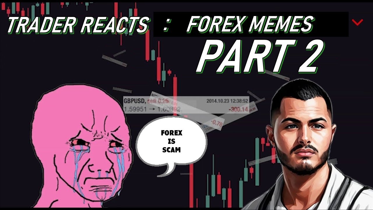 TRADER REACTS : Forex Memes Part 2 - YouTube