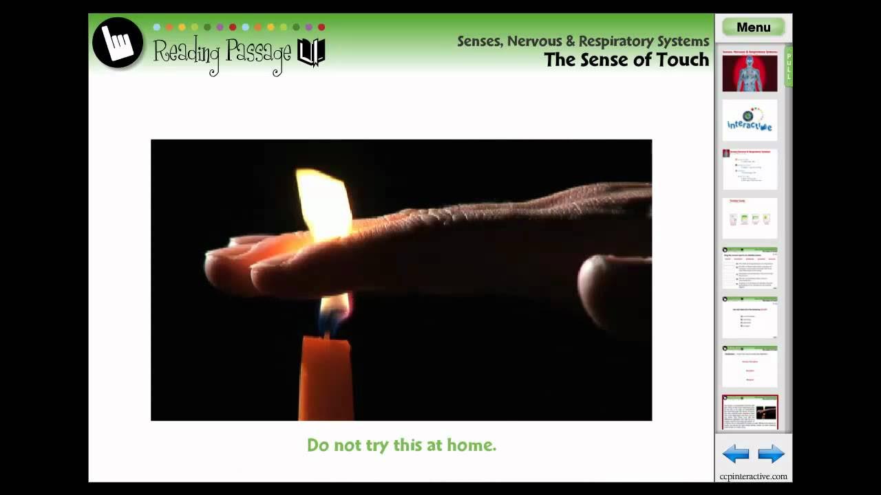 CC7550 Senses, Nervous & Respiratory Systems: The Sense of Touch ...