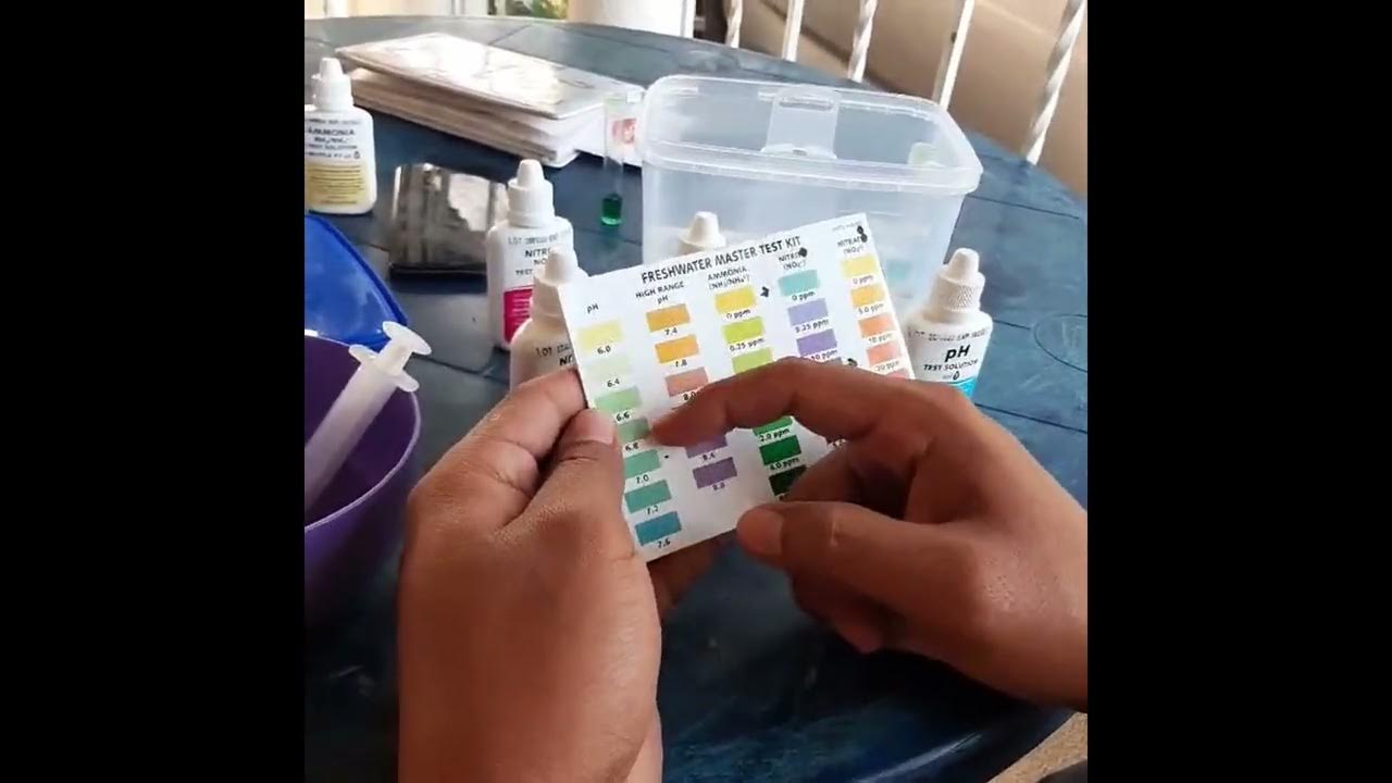 medir parametros con el kit api en piscicultura en tilapia con sistema biofloc - YouTube