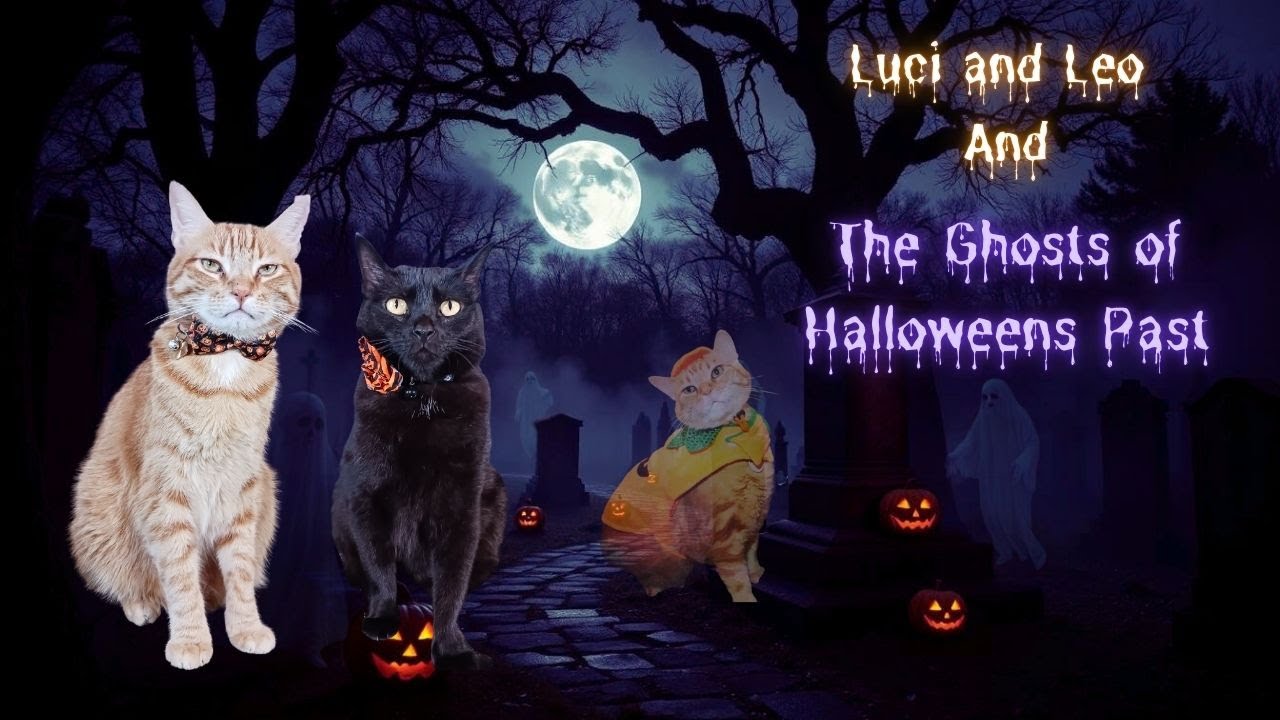 Luci and Leo And The Ghosts of Halloweens Past - YouTube