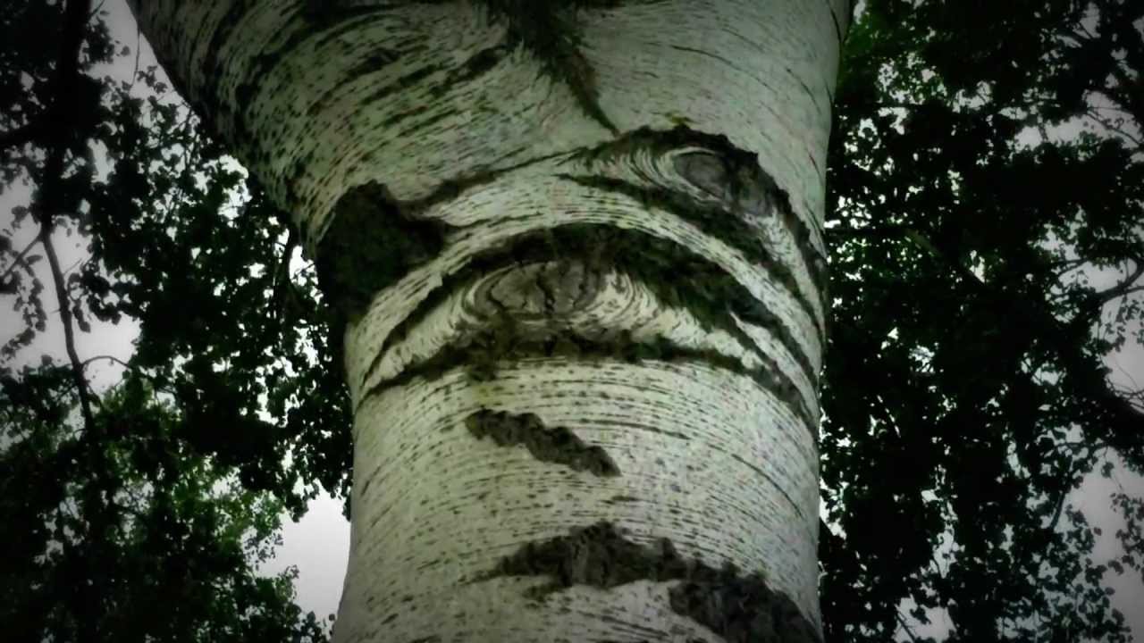 Song Of The Old Whistling Eye Trees - Henk Top © (original) - YouTube