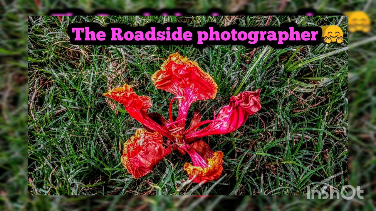 how to click amazing pictures from phone?? - YouTube