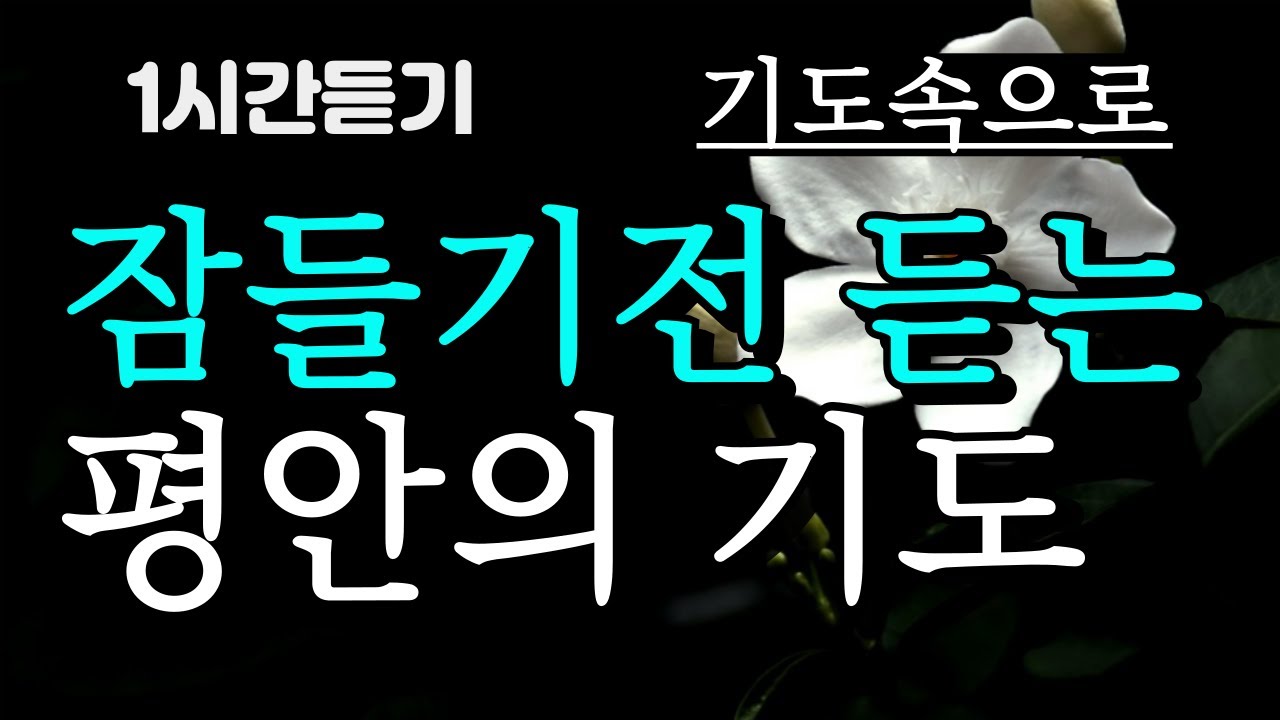 잠들기 전 듣는 평안의 기도 오늘 하루도 수고 많으셨어요 불안한 밤 주님께 드리는 기도 하루 마무리 기도평안한 밤편안하게 잠들기 위한 밤의 기도 낭독불면