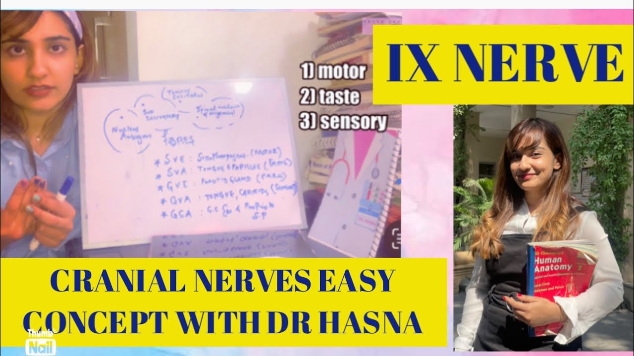 Glossopharyngeal Nerve | IX nerve | Cranial nerve Anatomy ...