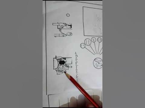 class7|Domain|9/7/2024|Week3|Day5 - YouTube