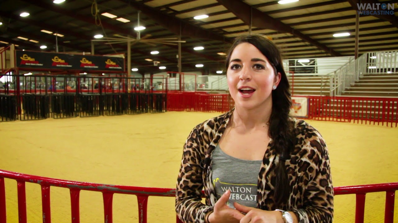 2018 San Antonio Stock Show and Rodeo - YouTube