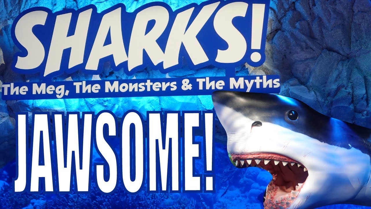 Sharks! The Meg, The Monsters, & The Myths Exhibit at the Houston ...