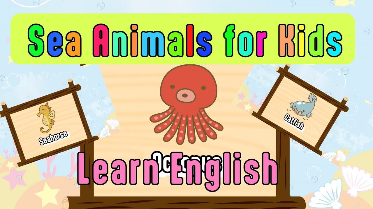 Baby Sea Animals(Learn English vocabularies for Kids):flashcards - YouTube