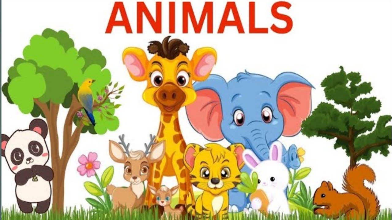 Animals Name Nursery Basic ! Kindergarten Animal Learning Video ! Learn ...