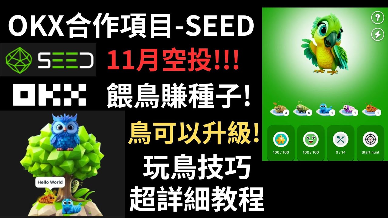 OKX合作項目-SEED! 11月空投! 超詳細教程! 玩鳥技巧! 餵鳥賺種子! 鳥可以升級! (建議1.5倍速) - YouTube