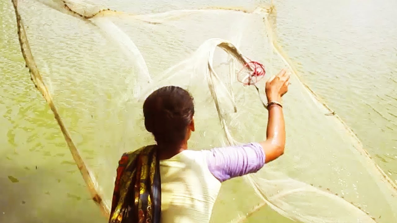 Amazing!! Women Cast Net Fishing | Best Fishing Video | Fishing Video ...