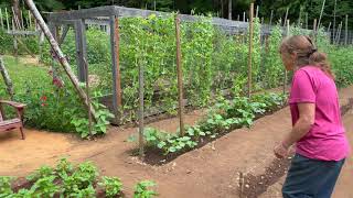 Overbrook Farm Garden Tour