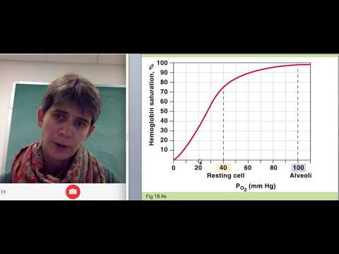 Oxygen Equilibrium Curves (Oxygen-Hemoglobin Dissociation Curves) - YouTube