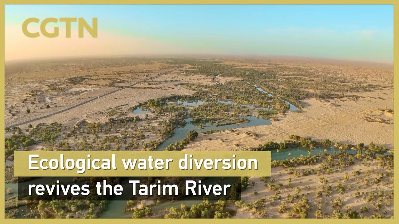 Ecological water diversion revives the Tarim River - YouTube