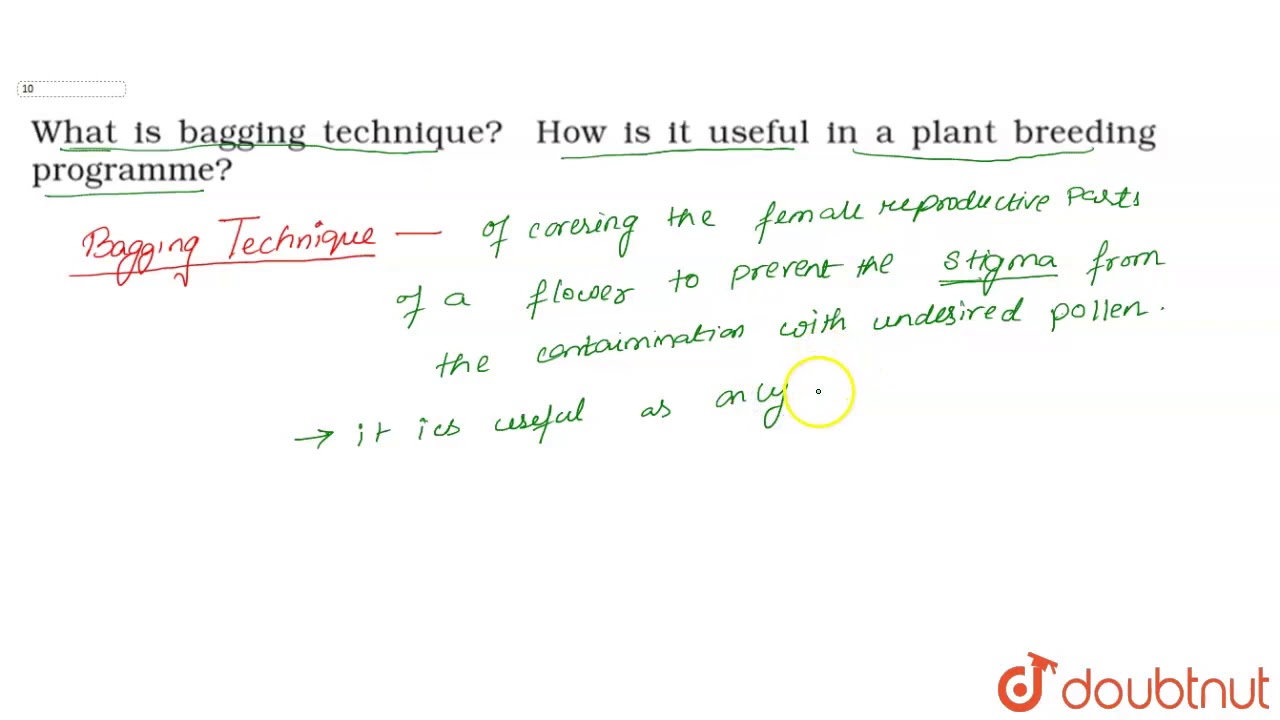 What is bagging technique? How is it useful in a plant breeding ...