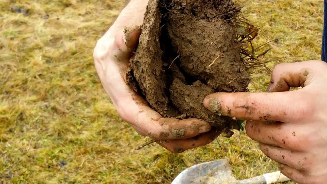 Permacultura in Romania - diferenta de granulatie a solului - YouTube