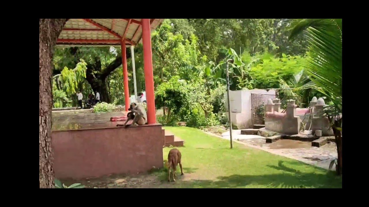 Chouki Travel Vlog | Part1 | Brihaspati Mandir | Forest, Greenery ...